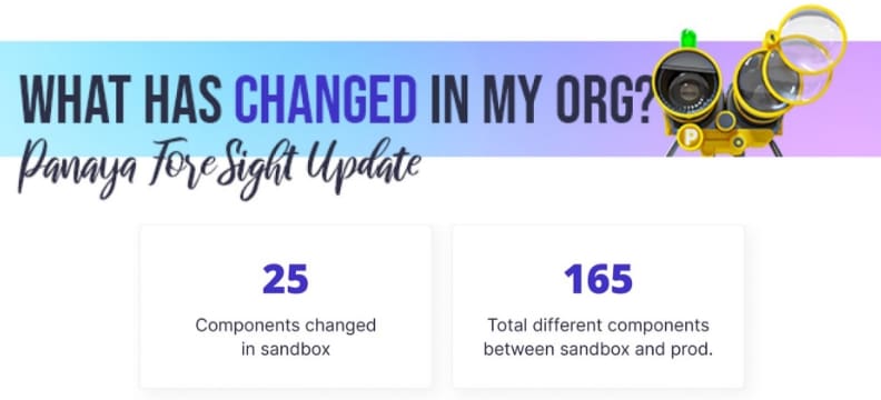 変更を把握 | panaya jp